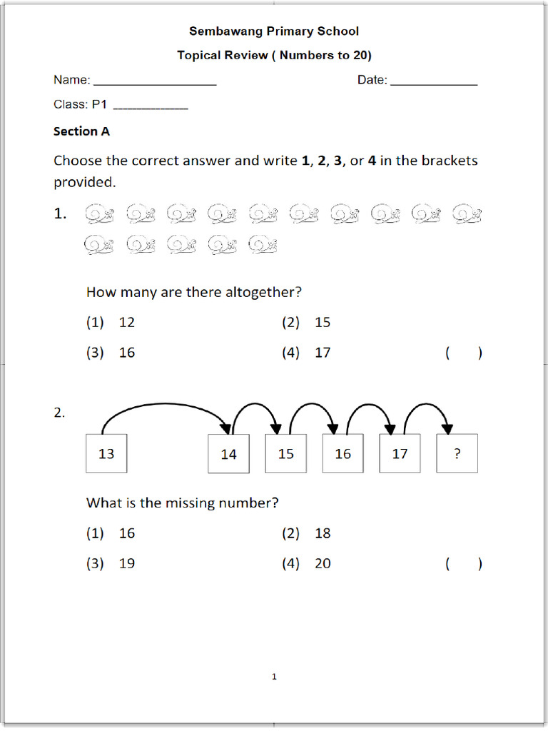 P1 Topical Review Numbers To 20 | PDF