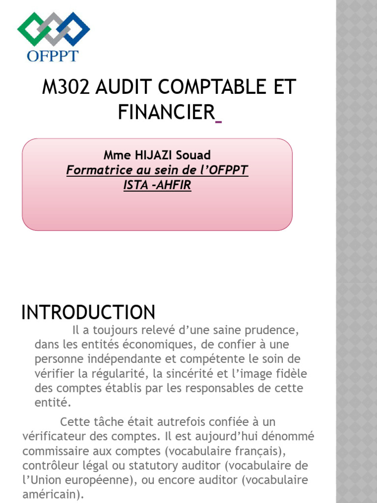 Audit | PDF | Audit financier | Audit