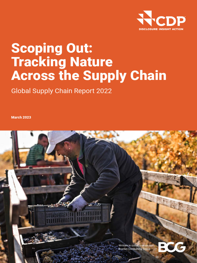 CDP Supply Chain Report 2022 | PDF | Supply Chain | Sustainability