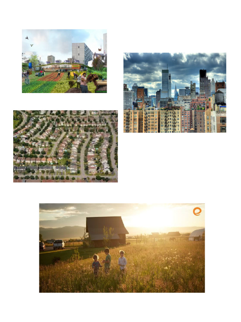 Discuss Different Types of Typologies | PDF Discuss Different Types of Typologies | PDF