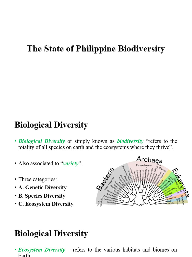 Philippine Biodiversity Overview | PDF | Biodiversity | Natural Environment
