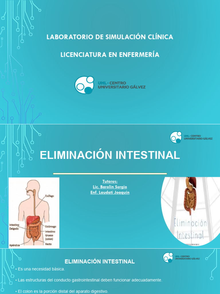 10 Power Eliminacion Intestinal 2023 | PDF | Heces | Diarrea