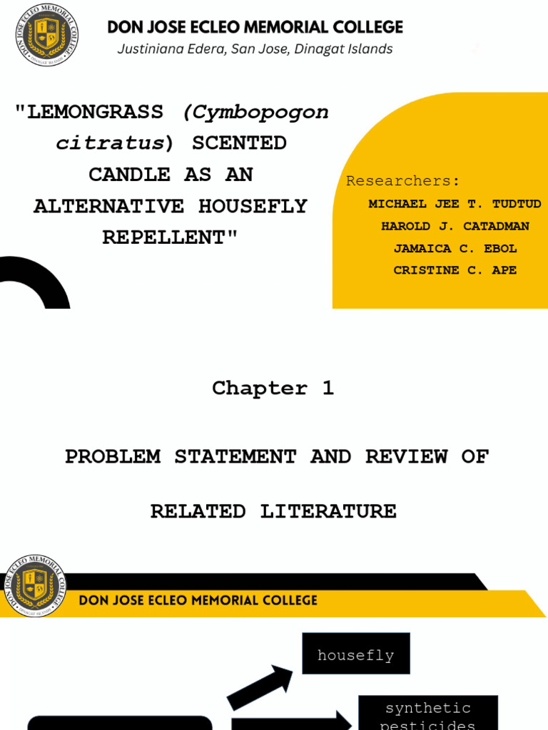 Final PPT For Final Defense | PDF