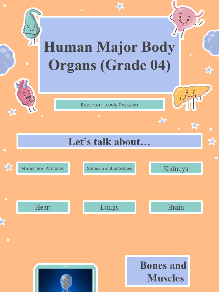 Human Major Body Organs (Grade 04) | Download Free PDF | Human Body ...