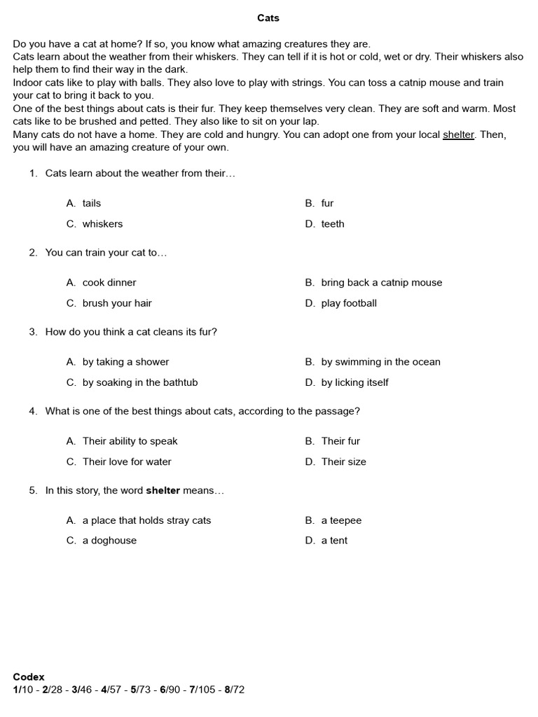 Warm-Ups Reading 2 | PDF | Hera | Middle Schools