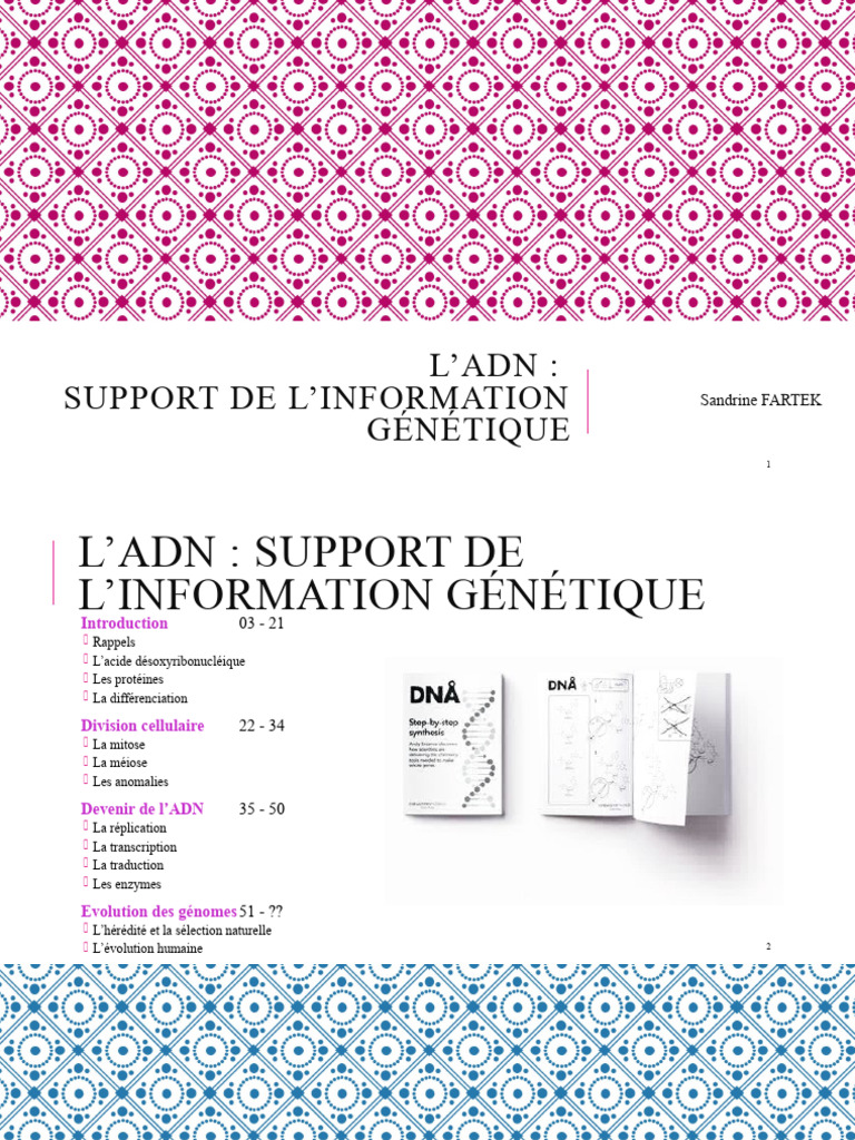 Svt Génétique Pdf Dominance Génétique Gène