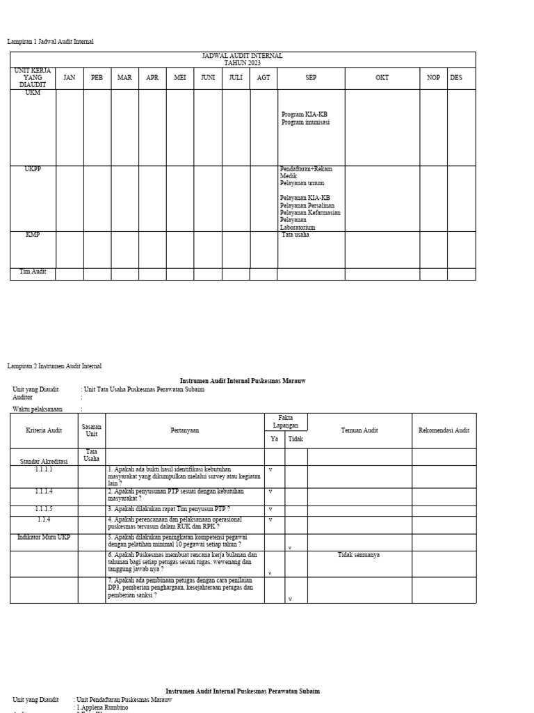 Instrumen Audit Baru | PDF