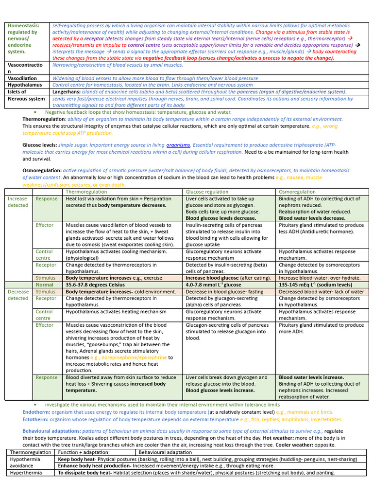 HSC Biology Module 8 | PDF | Neuron | Hormone