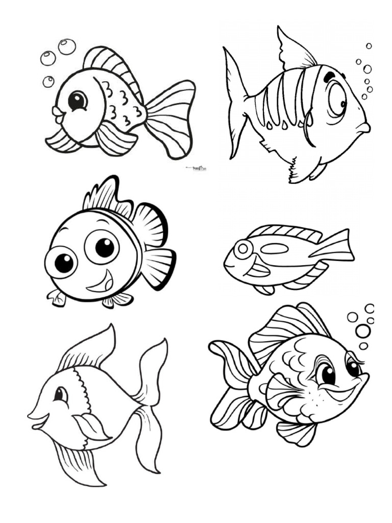 Fish | PDF