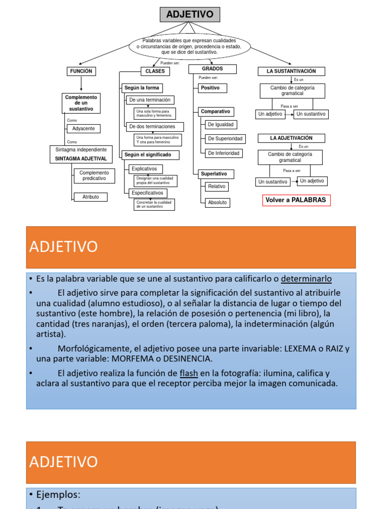 Adjetivo y Concordancia | PDF | Adjetivo | Sustantivo