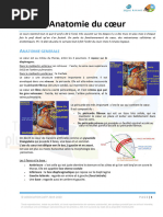 Anatomie et fonctions du péricarde | PDF | Aorte | Cœur