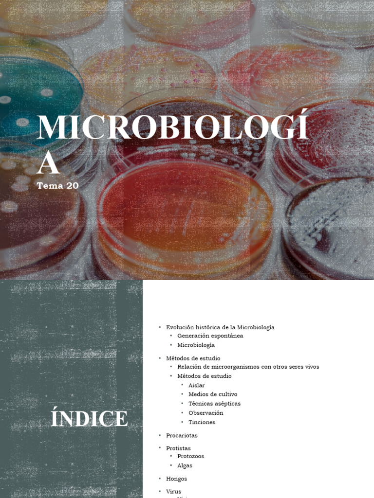 Tema 20. Microbiología 21-22 | PDF | Virus | Esterilización (Microbiología)