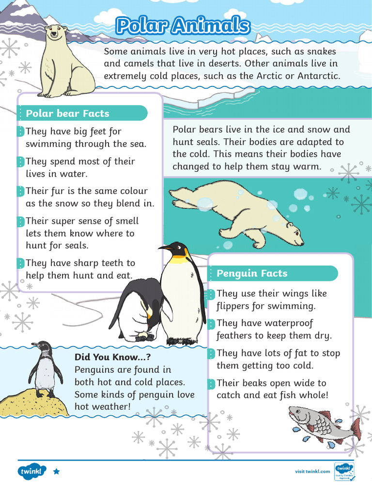 Winter Animals Differentiated Reading Comprehension Activity | PDF ...