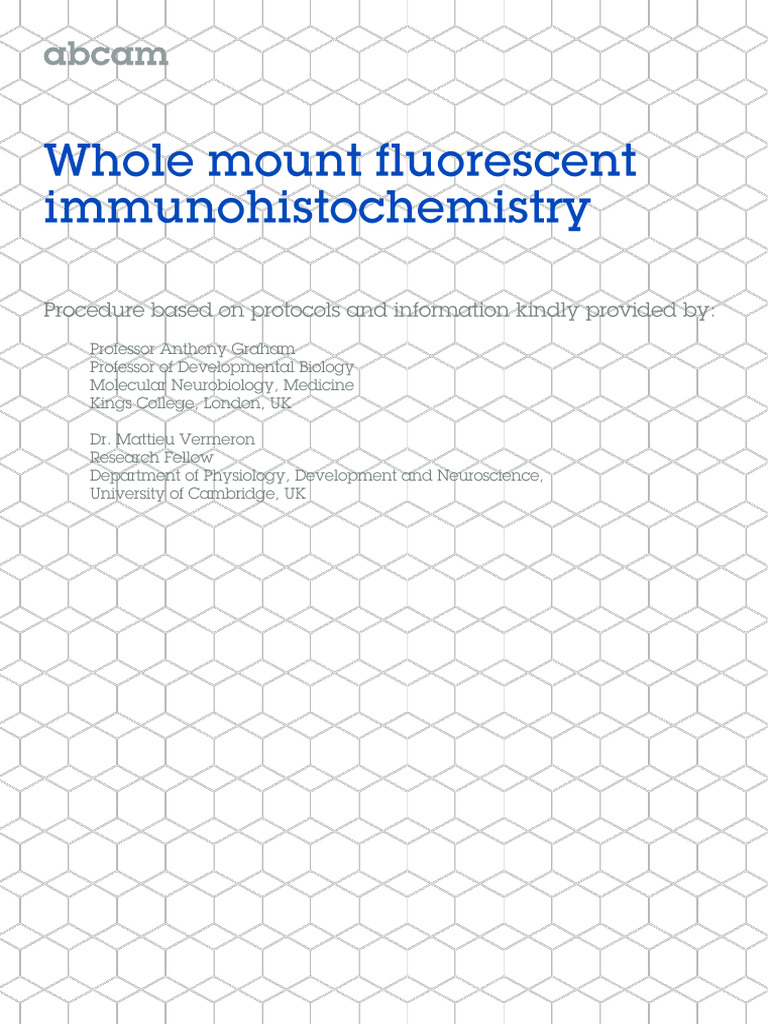 Whole Mount Fluorescent Ihc | PDF | Fixation (Histology ...