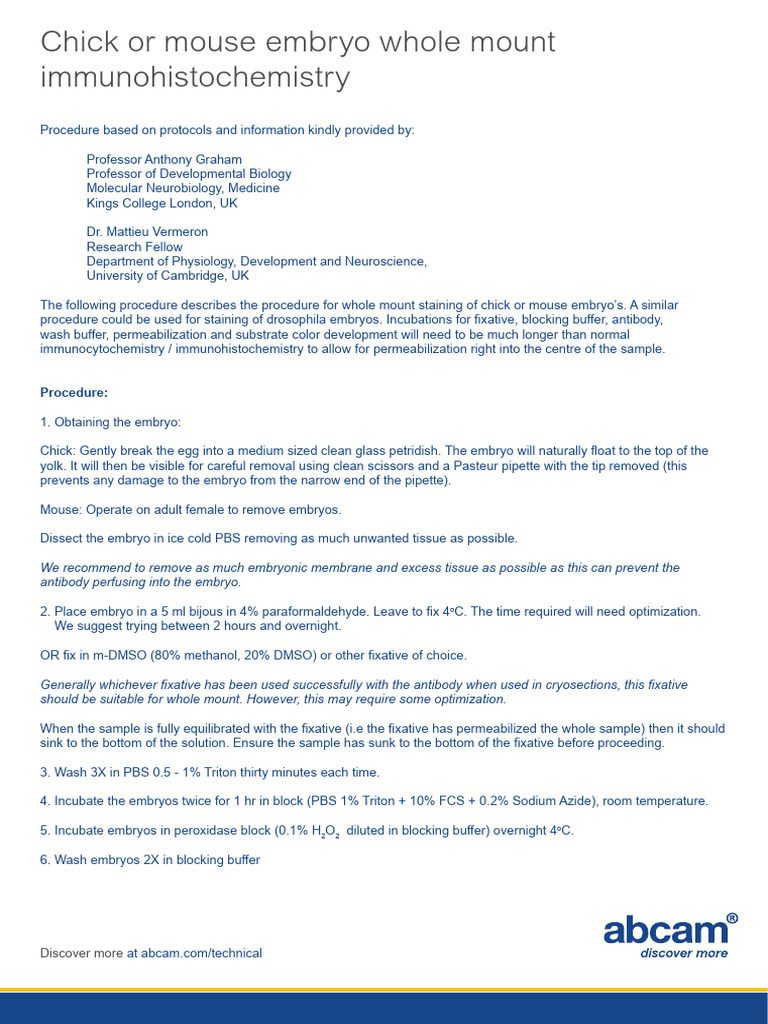 Whole Mount Mouse Chick | PDF | Fixation (Histology) | Immunohistochemistry