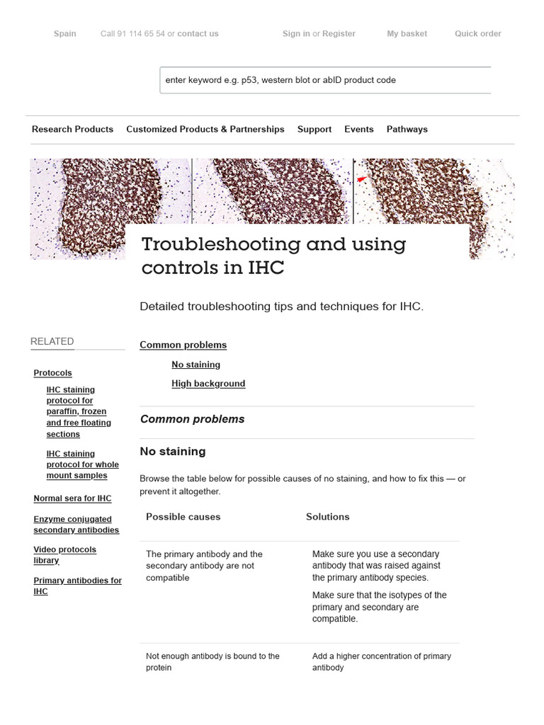 IHC Troubleshooting - Abcam | PDF | Immunohistochemistry | Scientific Techniques