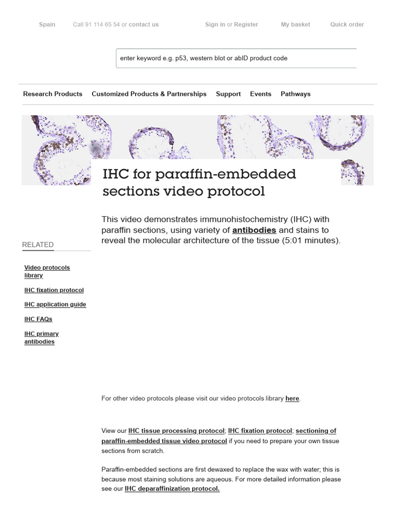 IHC Video Protocol For Paraffin-Embedded Sections - Abcam | PDF ...