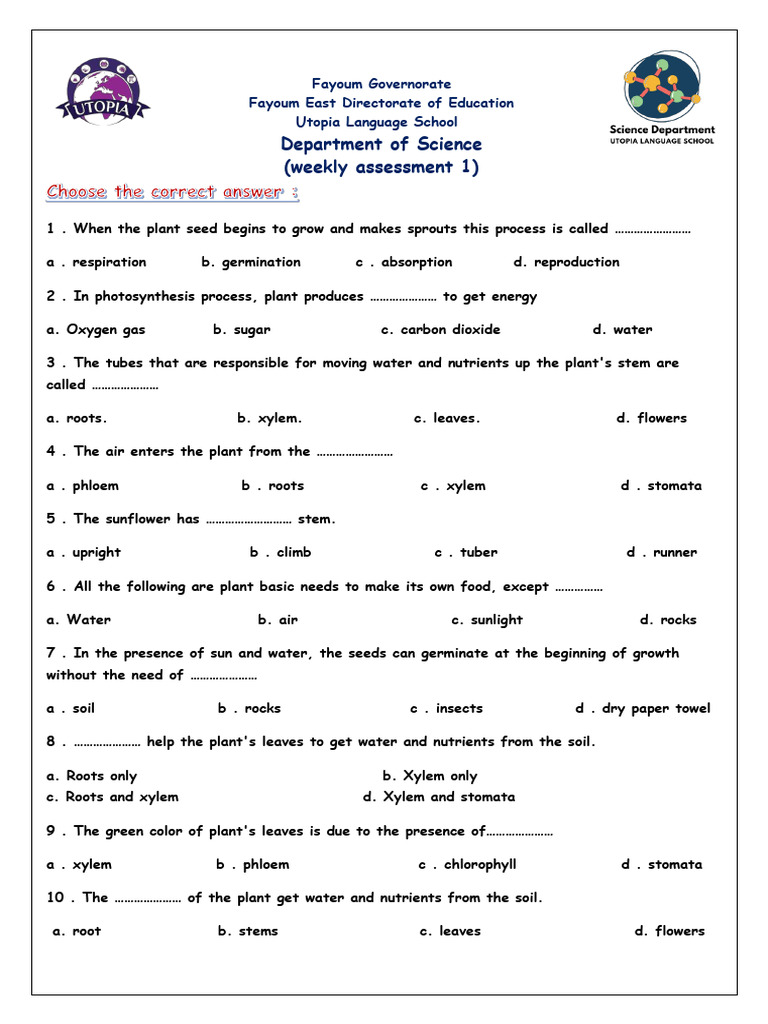 Weekly Assessment 1 Primary 5 | PDF