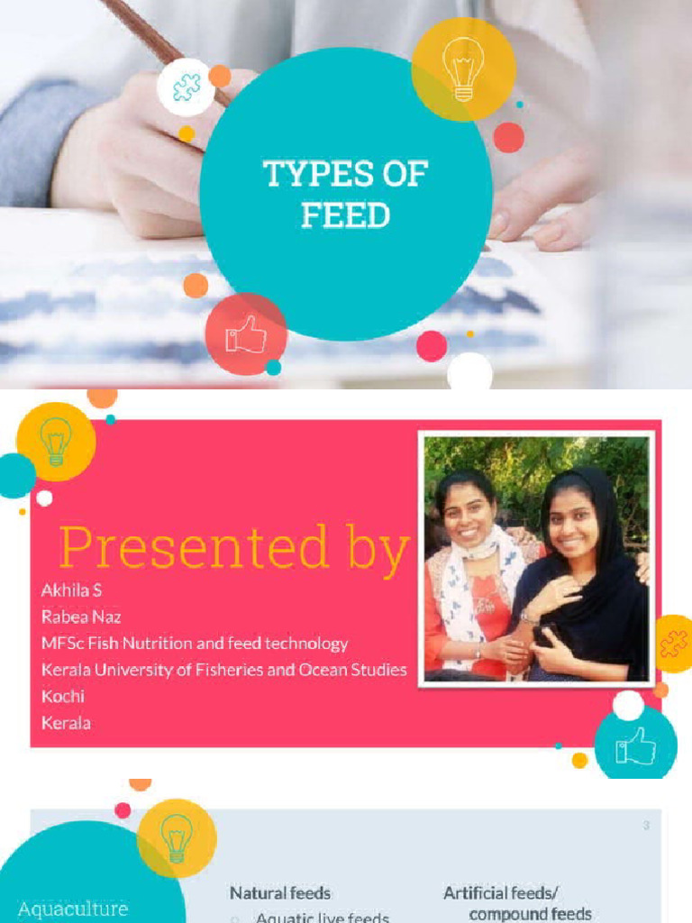 Types of Feed 119294529 | PDF