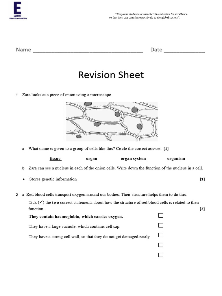 Revision Sheet: Name - Date | PDF | Cell (Biology) | Root