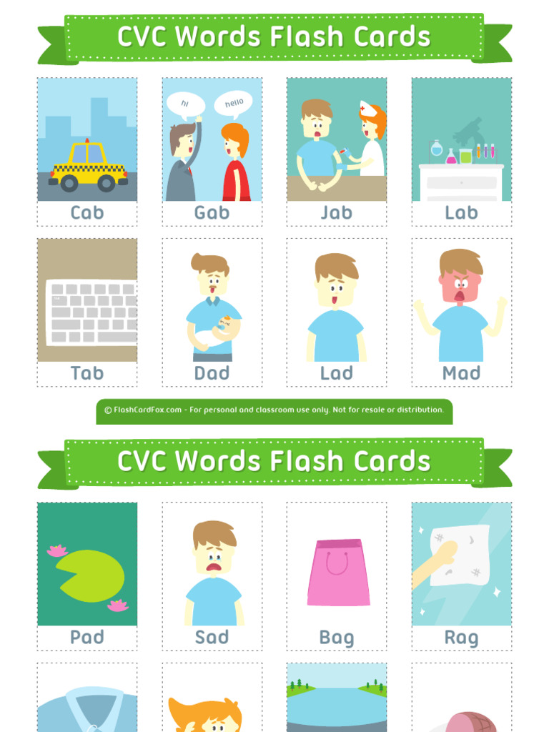 CVC Words Flash Cards 2x3 | PDF | Ethnobiology | Animals And Humans