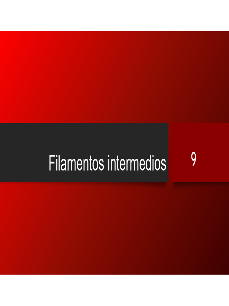 E9 Filamentos Intermedios | PDF | Biología Celular | Bioquímica