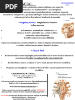 Anatomia dos Nervos Maxilar e Mandibular | PDF | Boca | Sistema nervoso