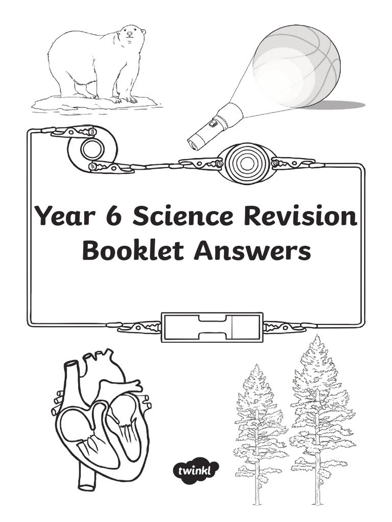 Year 6 Science Revision Answers | PDF | Human Body | Blood