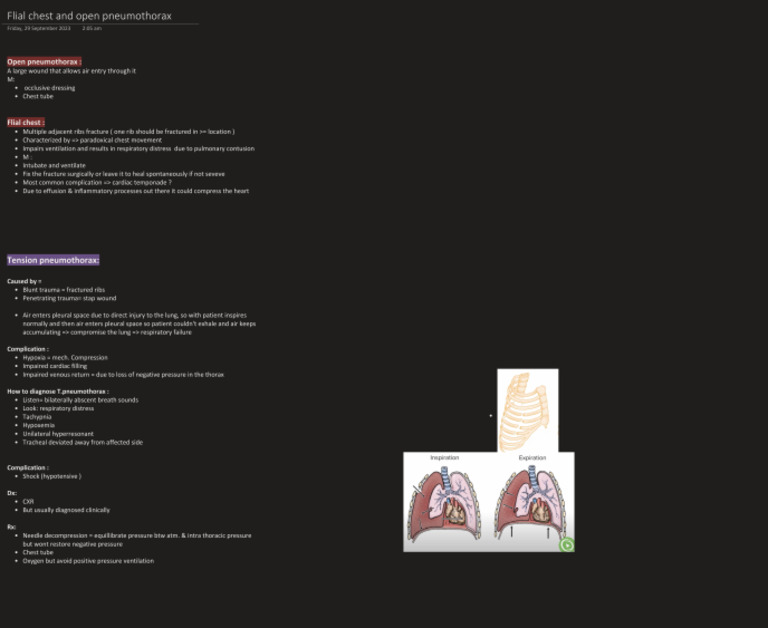 Flial Chest and Open Pneumothor | PDF