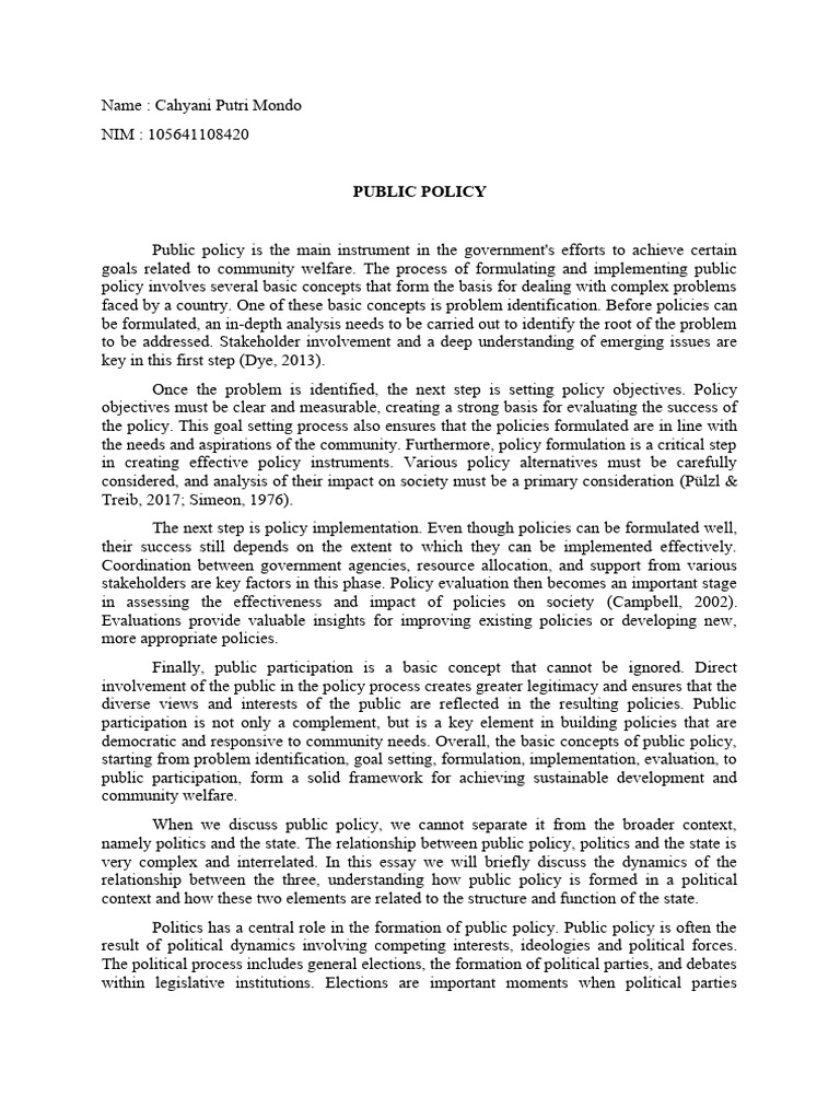 Public Policy Essay | PDF | Policy | Sustainability Public Policy Essay | PDF | Policy | Sustainability