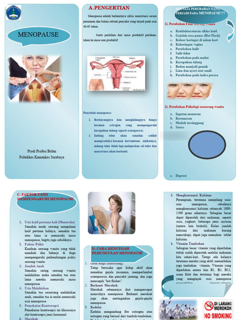 Leaflet Menopause | PDF