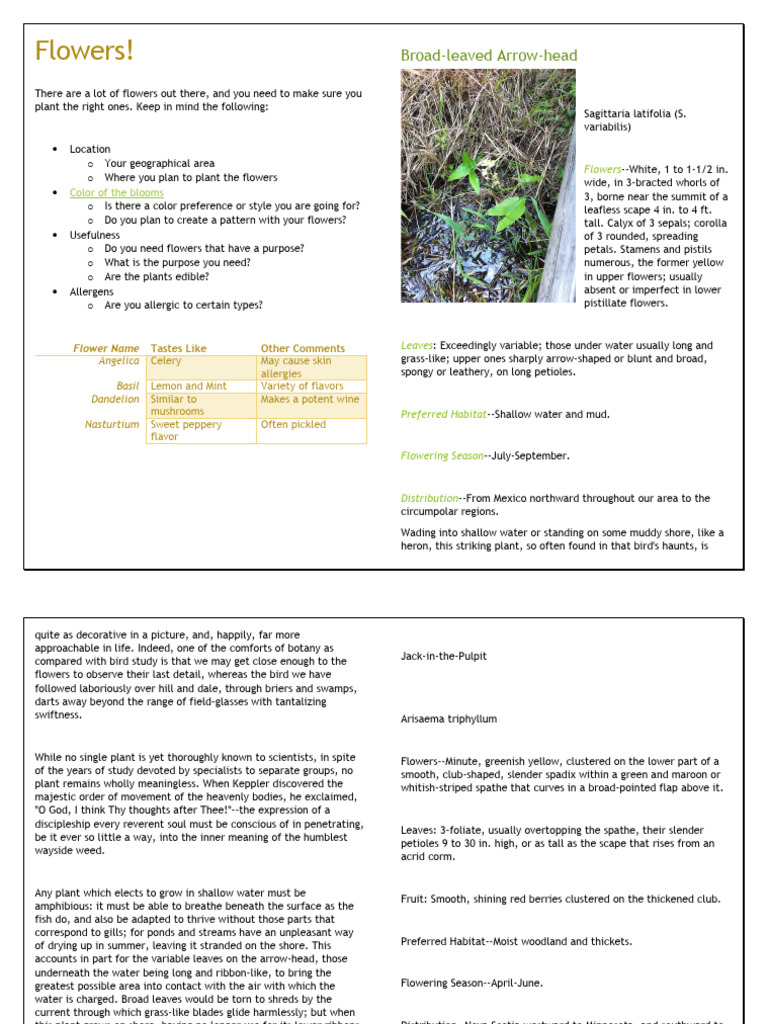 Flowers | PDF | Flowers | Petal