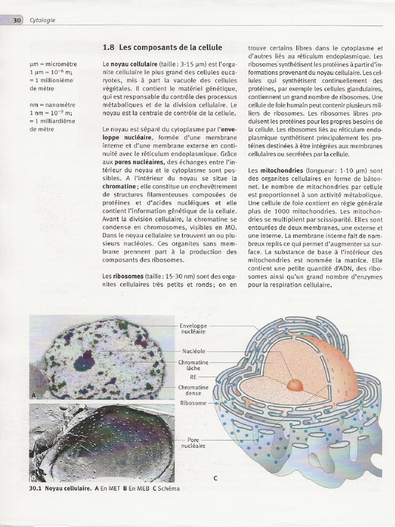 La Cellule - Brochure | PDF