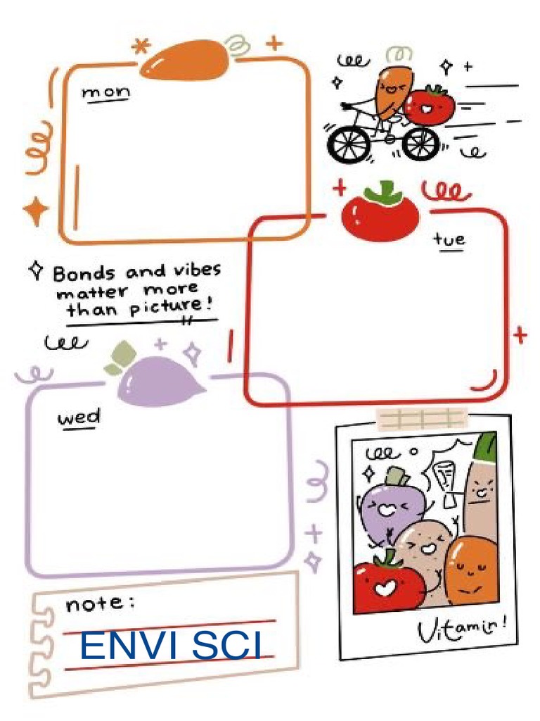 Envi Sci | PDF | Tropics | Wet Season