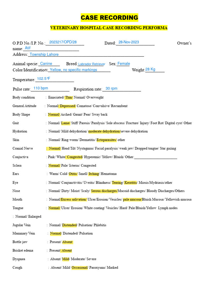Flea Infestation | PDF | Medical Specialties | Clinical Medicine
