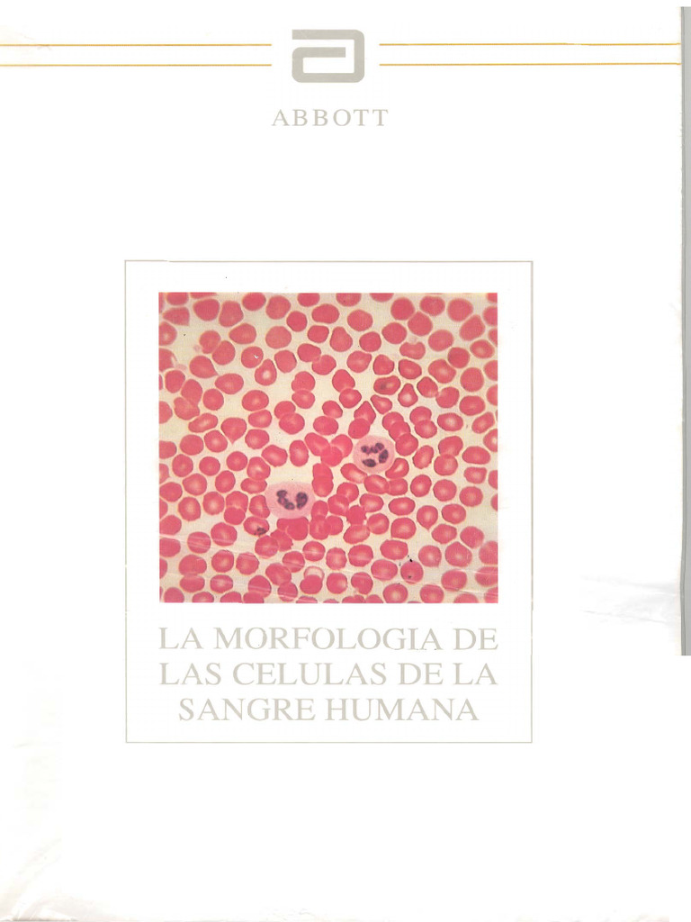 La Morfologia de Las Celulas de La Sangre Humana Compress | PDF