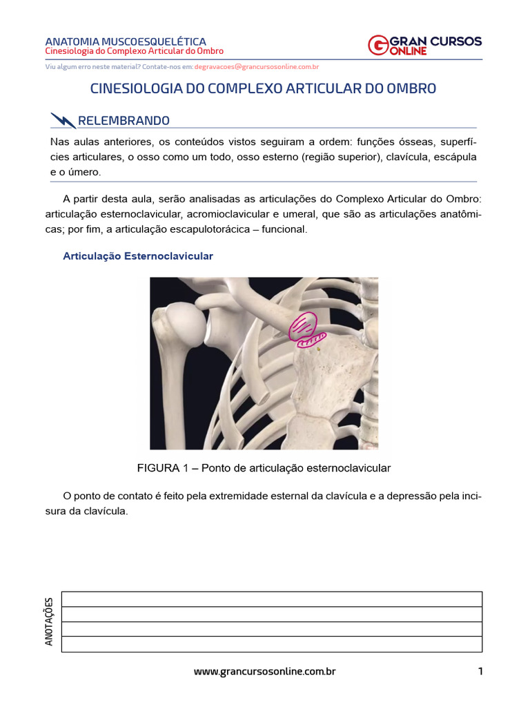 Complexo Do Ombro 4 | PDF | Anatomia