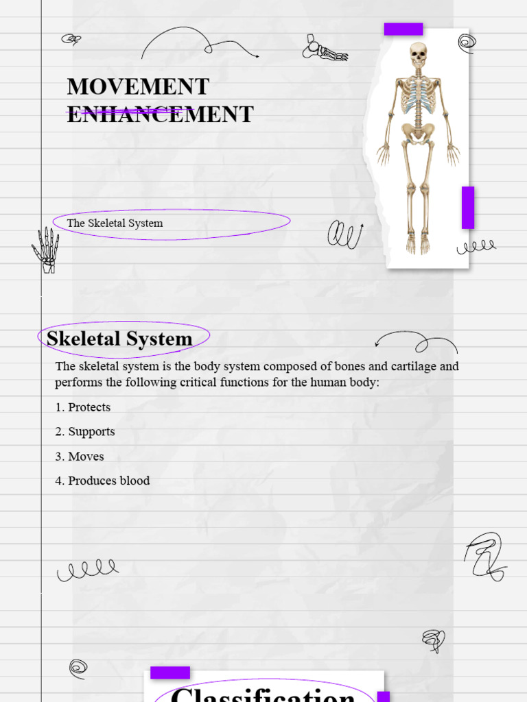 Skeletal | PDF | Anatomical Terms Of Motion | Skeletal Muscle