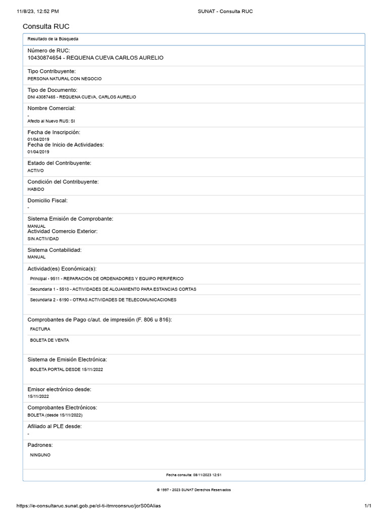 SUNAT - Consulta RUC | PDF