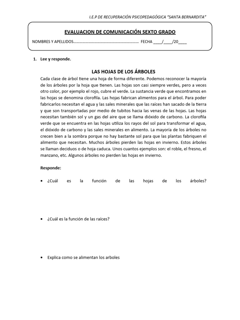 Examen 6to Comunicacion | PDF | Hoja | Arboles