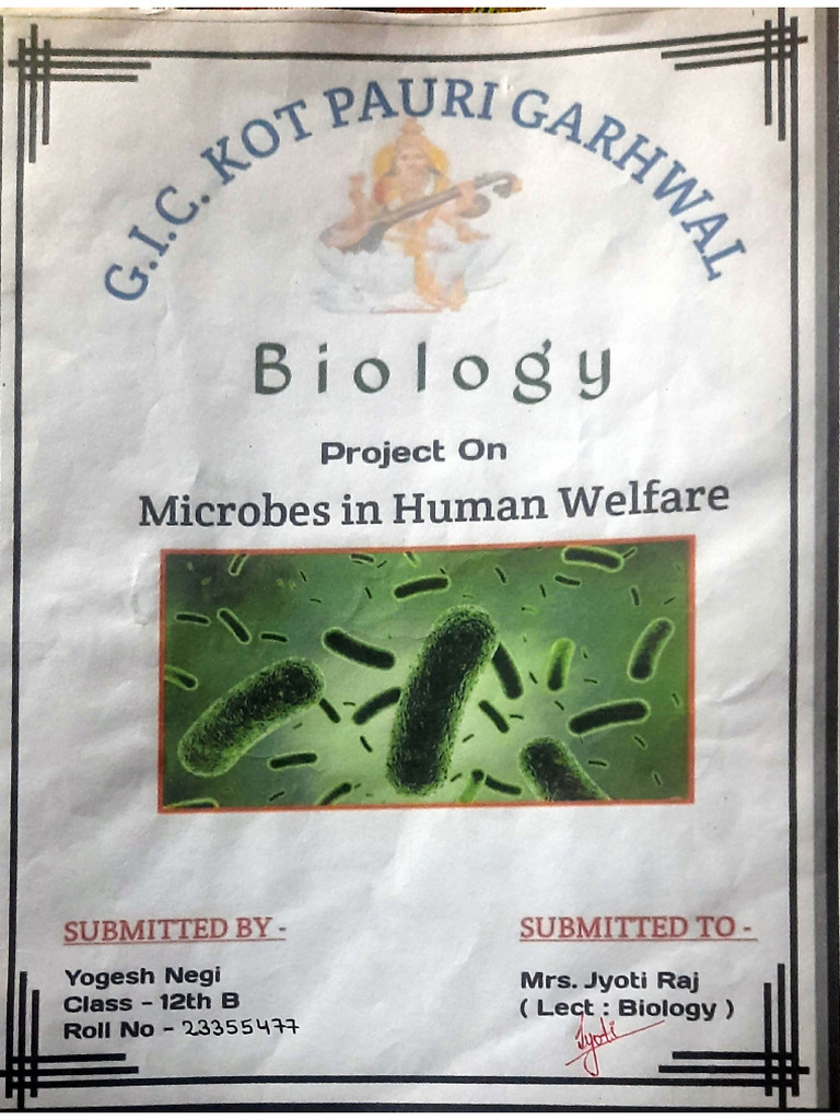 Biology Project On Microbes in Human Welfare | PDF