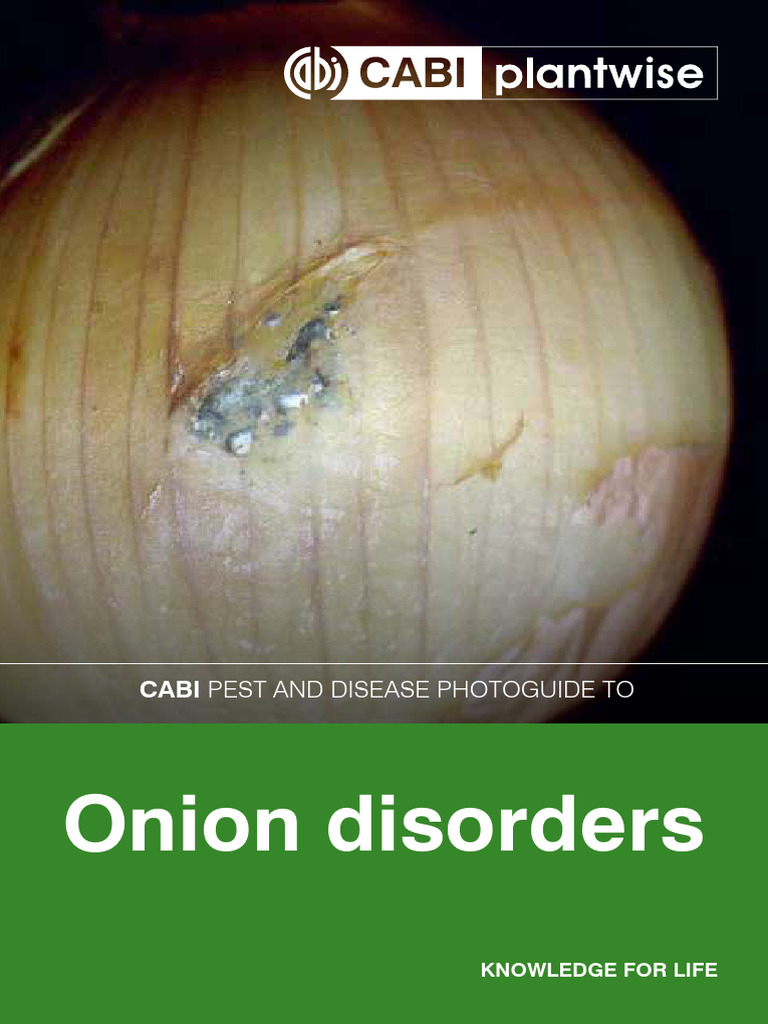 Onion Disorders | PDF | Onion | Fungus
