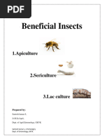 Gundhi Bug Zoo | PDF | Rice | Insects