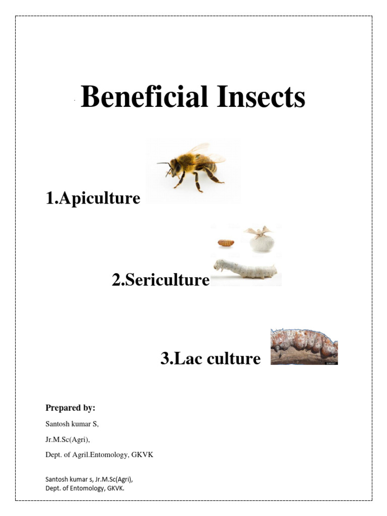Beneficial Insects Full 6th Sem B SC AG | PDF | Honey Bee | Beekeeping