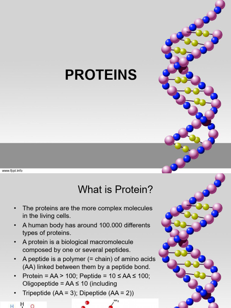 Proteins | PDF | Translation (Biology) | Proteins
