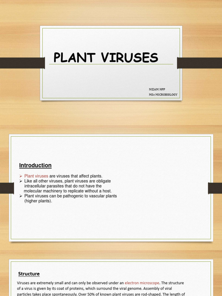 Plant Viruses 1st Sem 2023 | PDF | Plant Virus | Virus