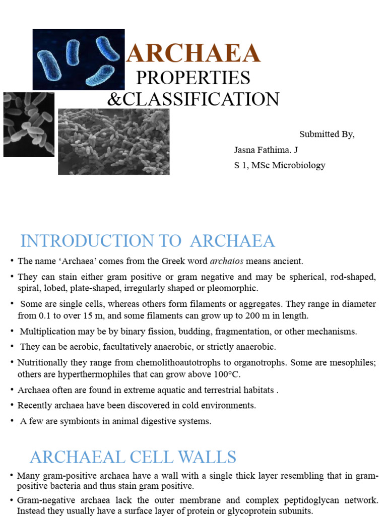 Properties and Classification of Archaea | PDF | Archaea | Bacteria