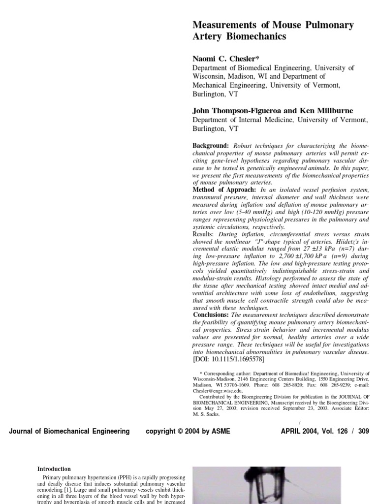 Mouse Artery Bio Mechanics | PDF | Artery | Blood Vessel