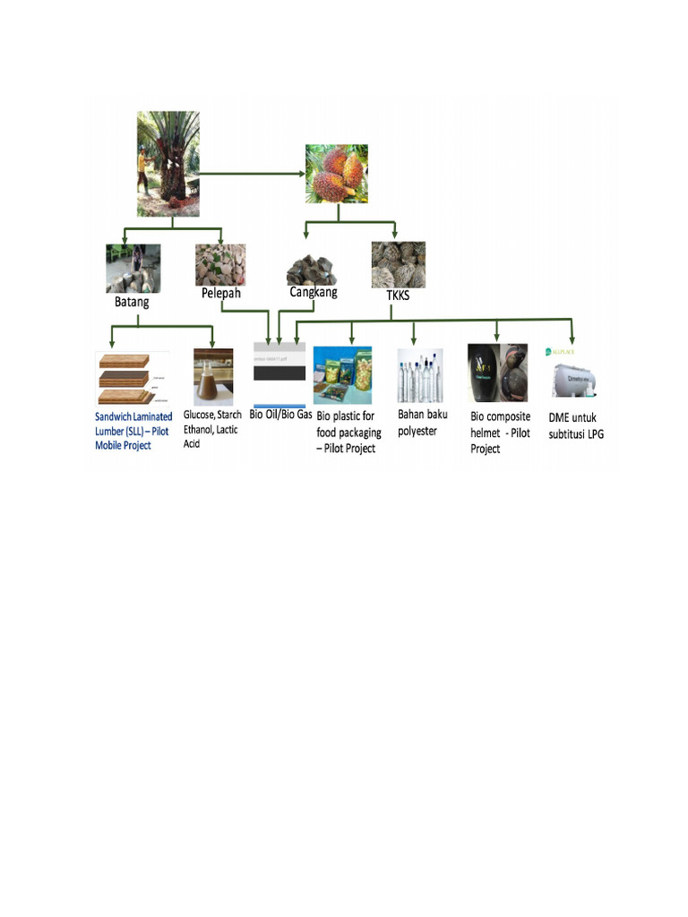 Diagram Kelapa Sawit Pdf