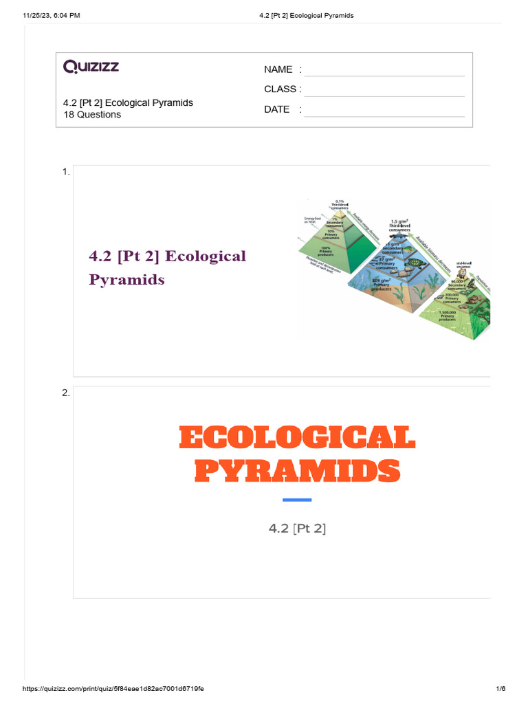 4.2 (PT 2) Ecological Pyramids | PDF | Food Web | Ecology